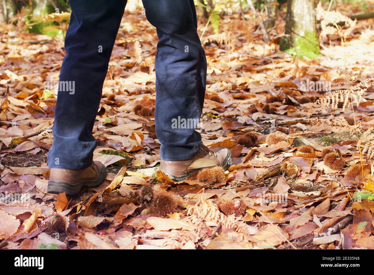 Man walking inside a park hi-res stock photography and images - Alamy
