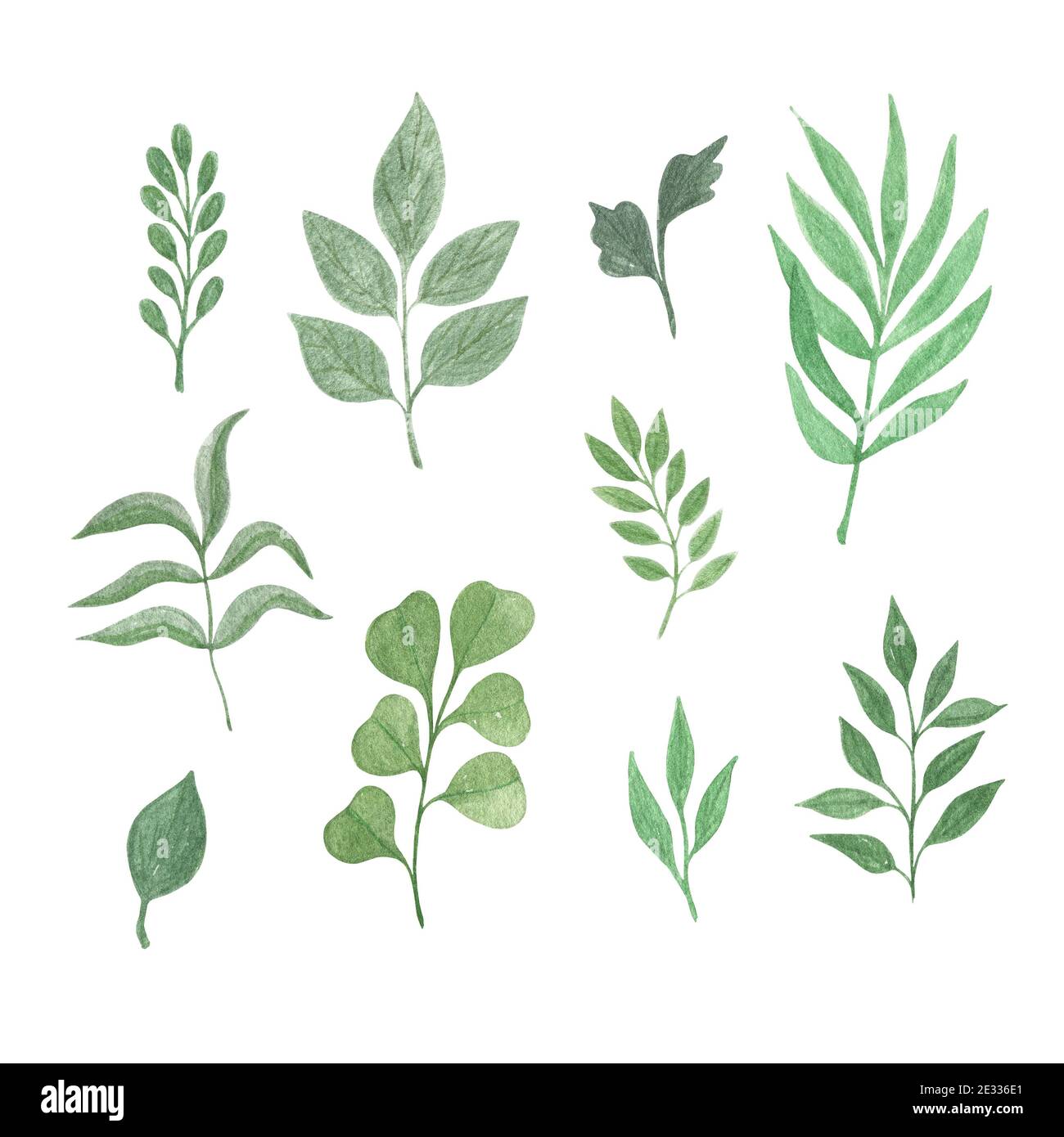 Watercolor simple green leaves set, hand drawn botanical floral ...