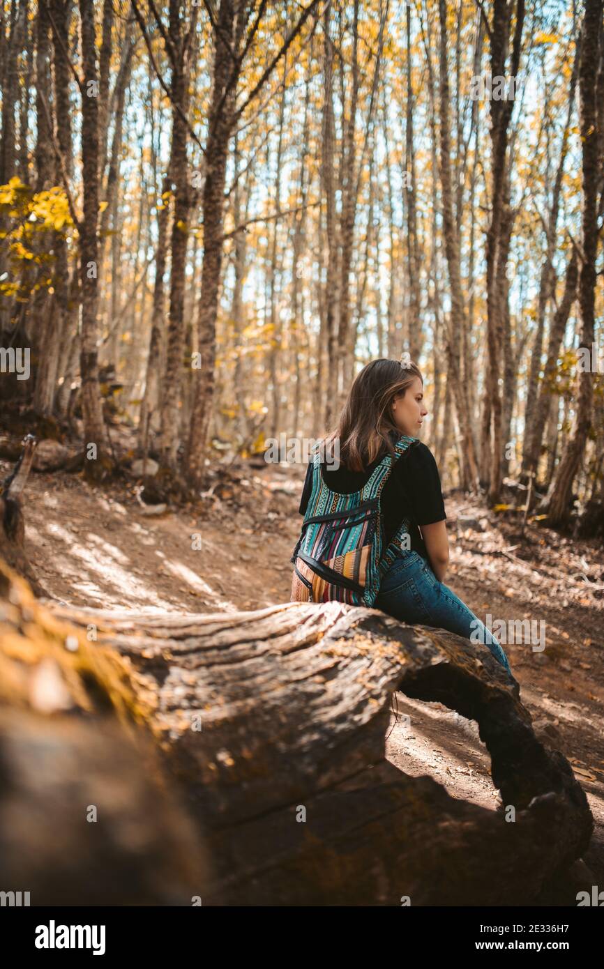 Alternative woman with colorful backpack resting on a tree looking at ...