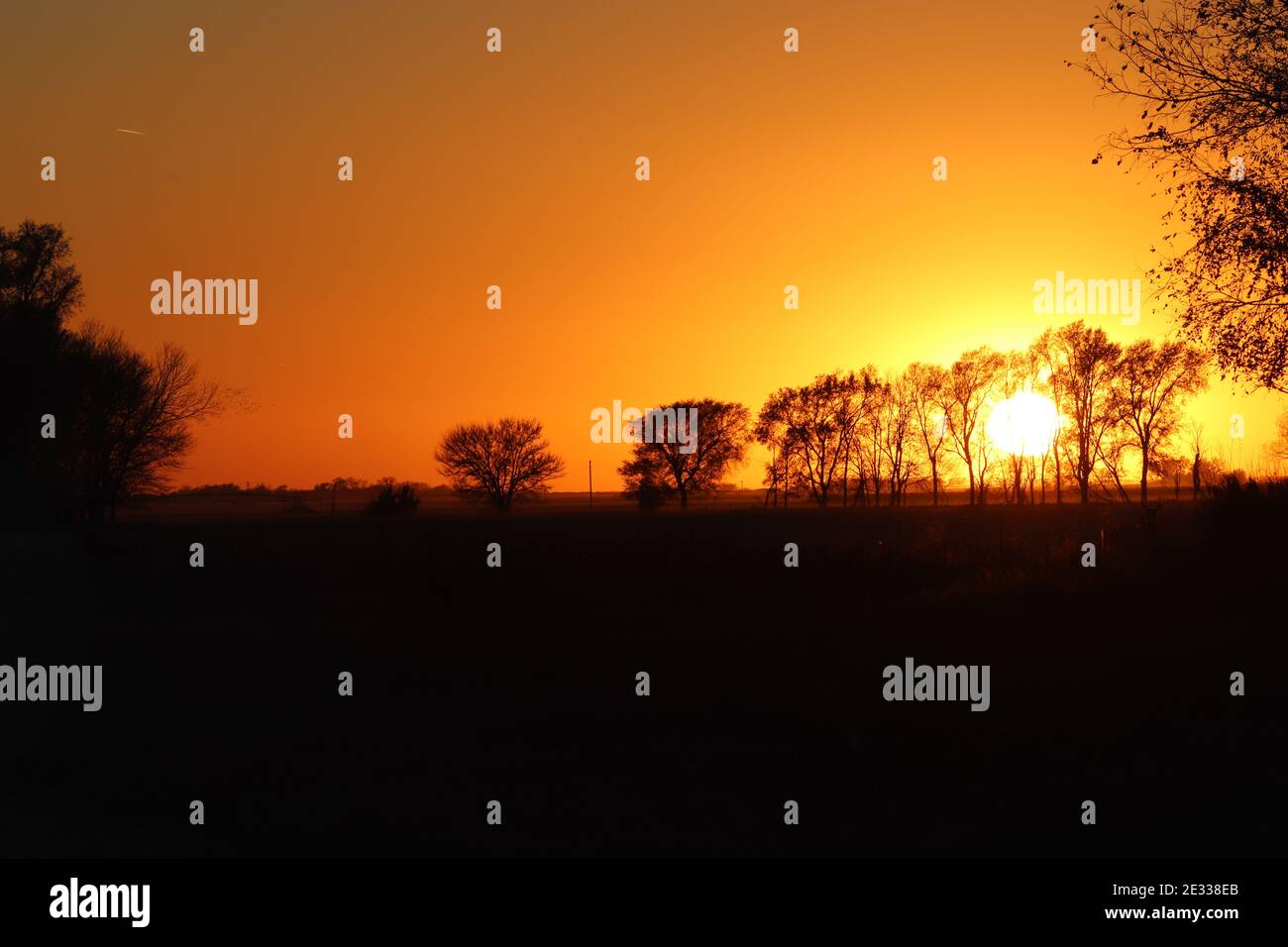 Nebraska nature trees hi-res stock photography and images - Alamy