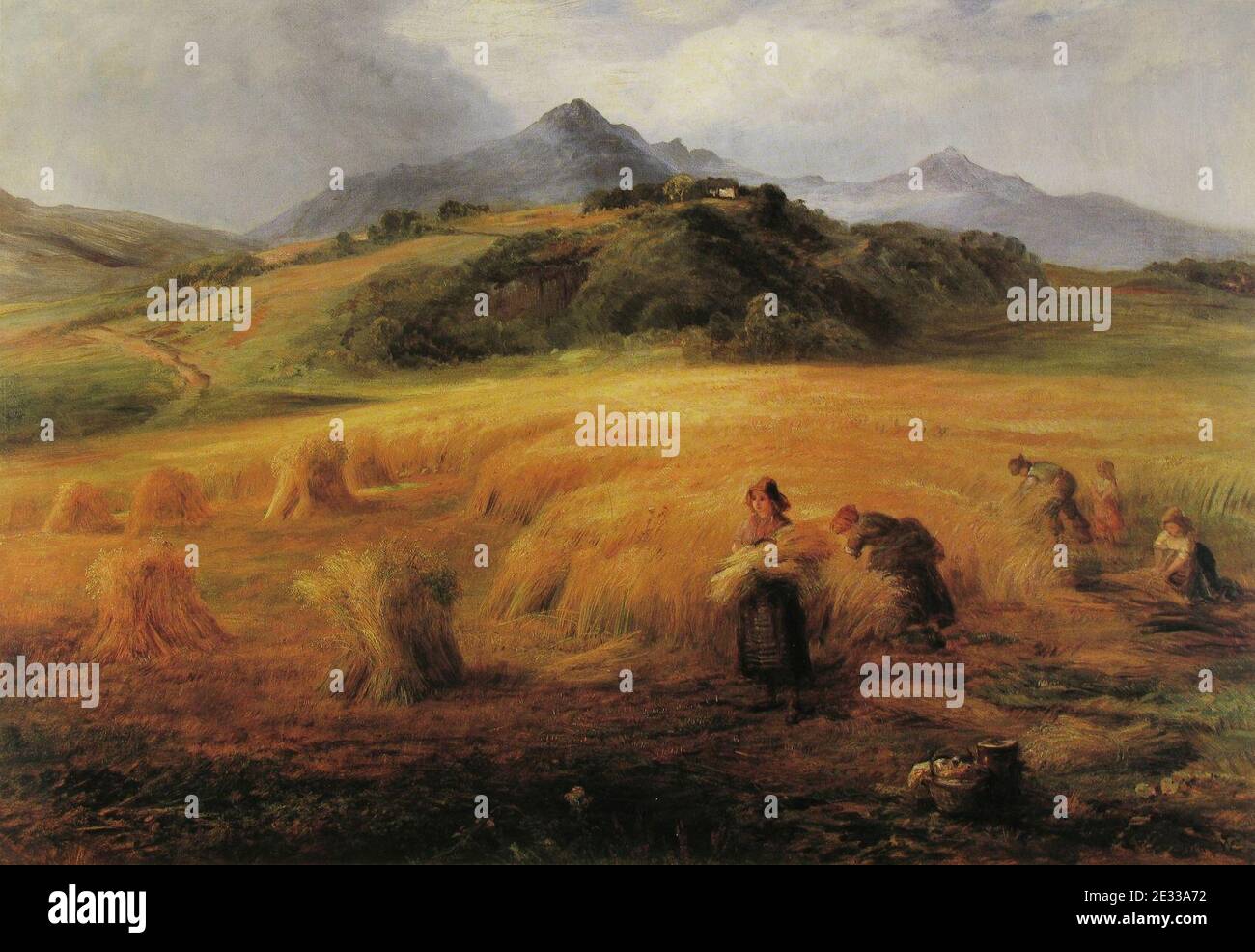 Harvestin hi-res stock photography and images - Alamy