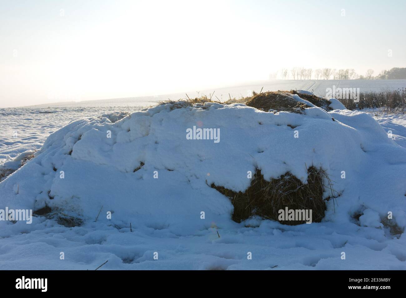 Steaming manure dung heap hi-res stock photography and images - Alamy