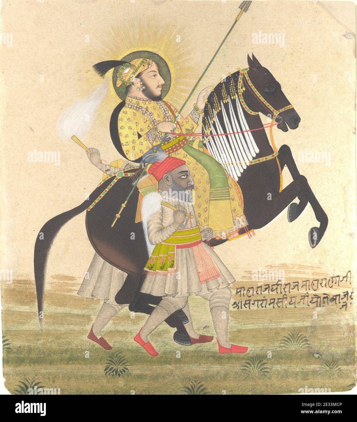 Prize Stallion High Resolution Stock Photography and Images - Alamy