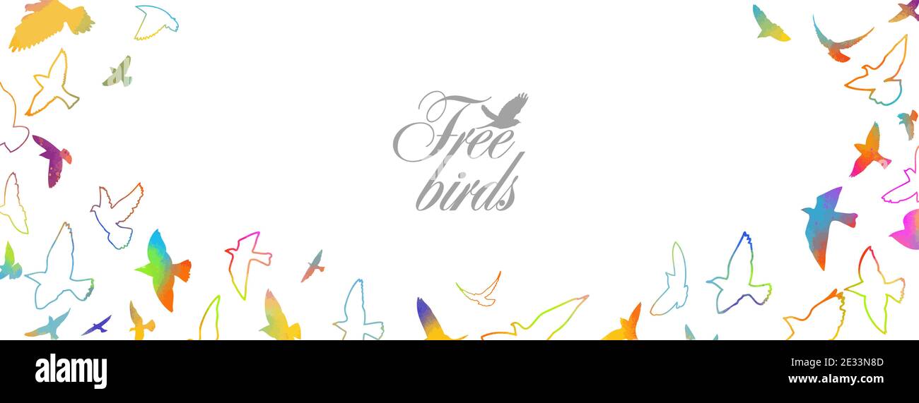 A flock of flying birds. Horizontal frame of colorful birds. Mixed ...
