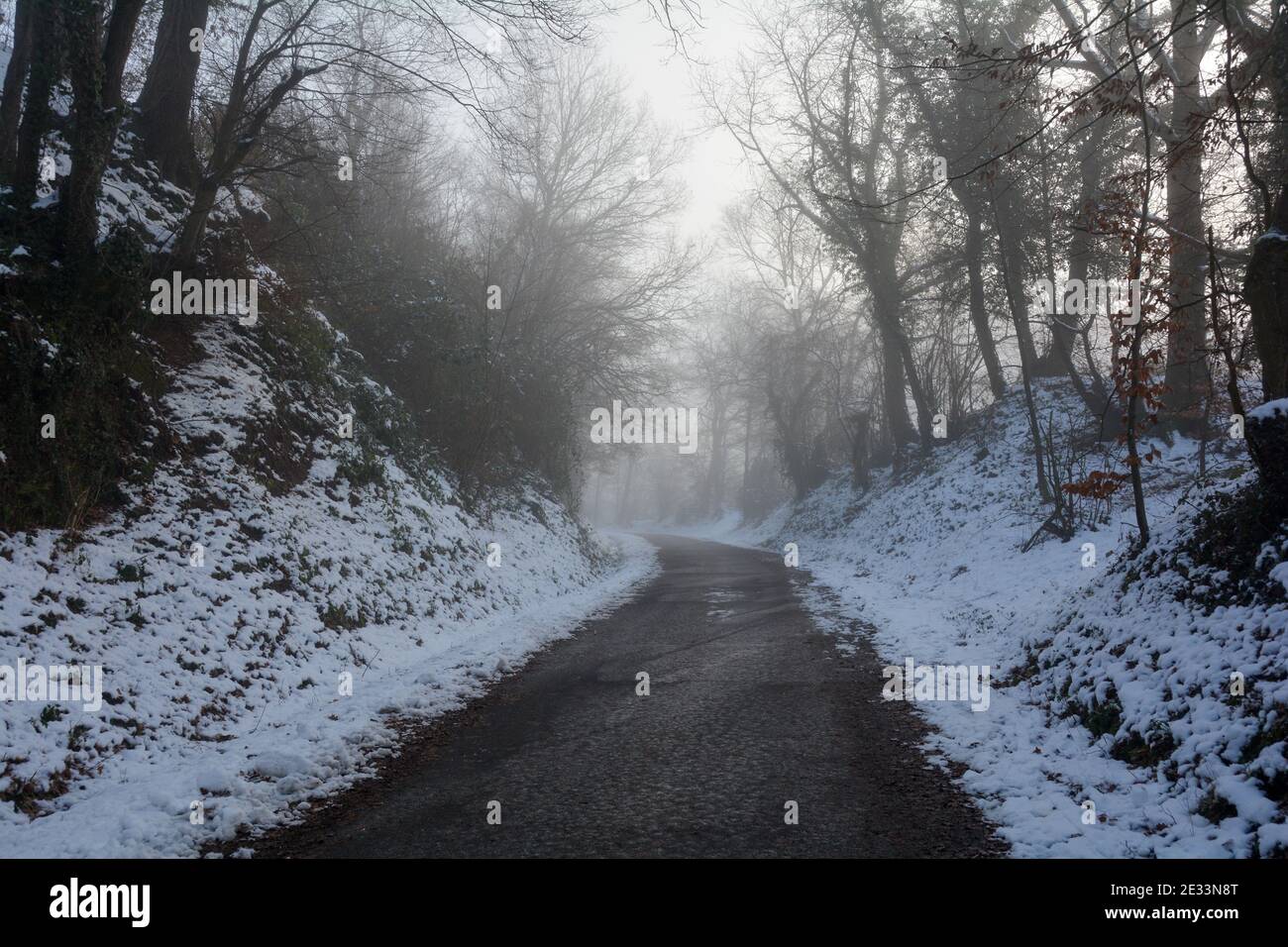 A lonely road in winter, between trees with snow Stock Photo - Alamy