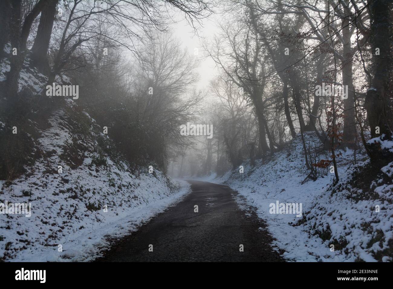 A lonely road in winter, between trees with snow on a foggy morning ...