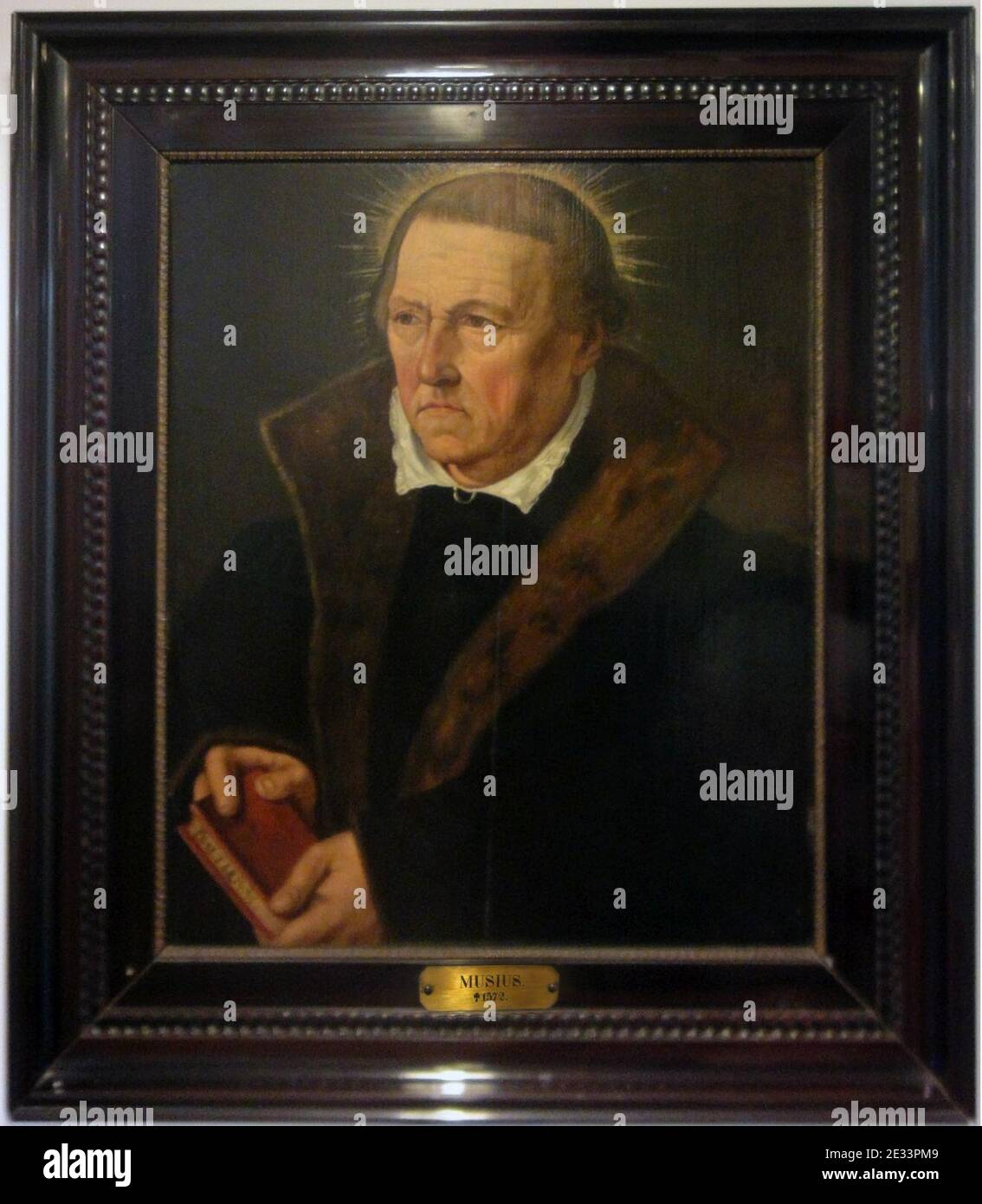 Musius hi-res stock photography and images - Alamy