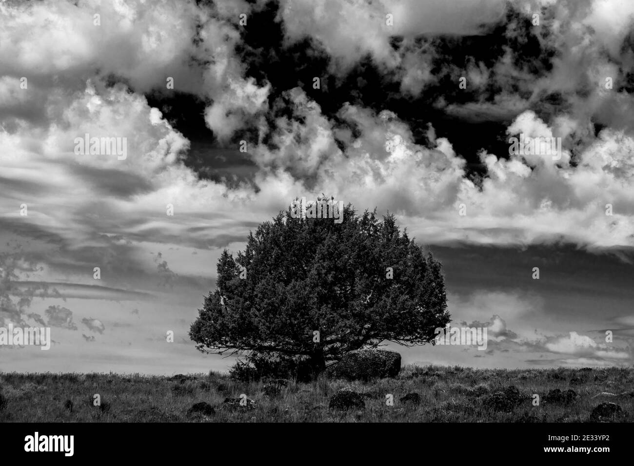 Owyhee County High Resolution Stock Photography and Images - Alamy