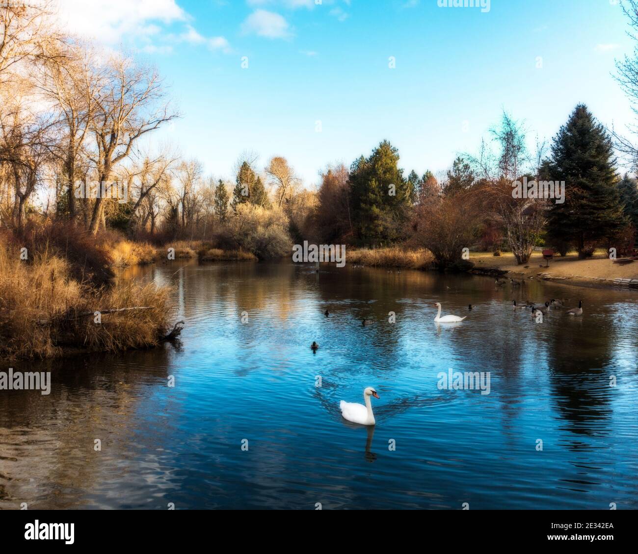 Boise river greenbelt hi-res stock photography and images - Alamy