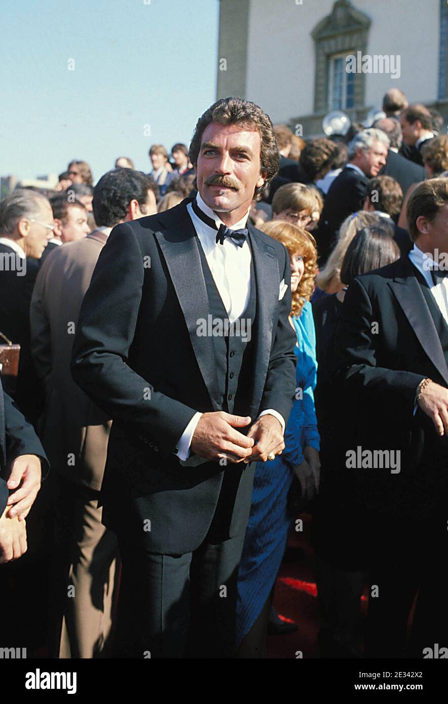 Tom Selleck 1982 Credit: Ralph Dominguez/MediaPunch Stock Photo - Alamy
