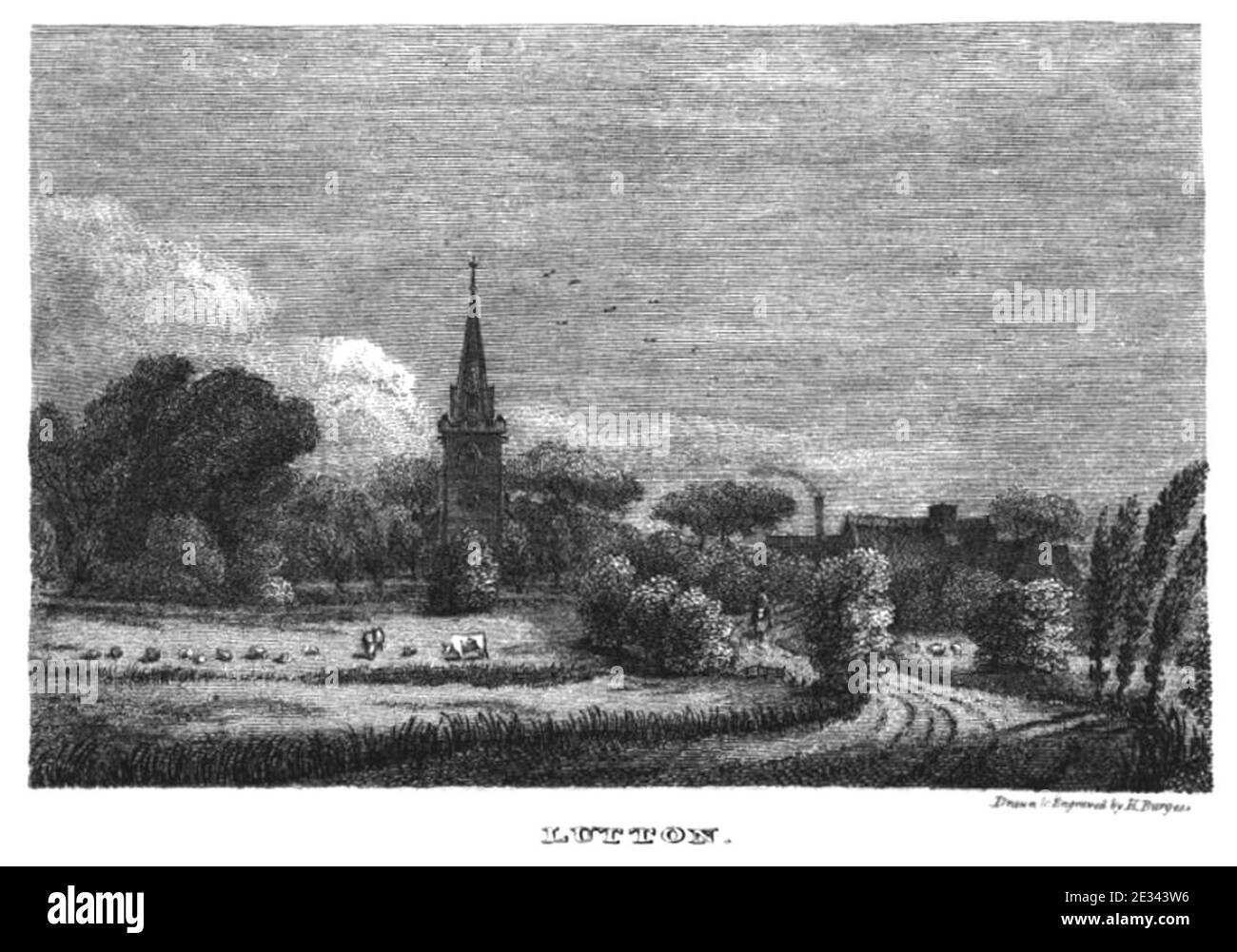 Lutton Cut Out Stock Images & Pictures - Alamy