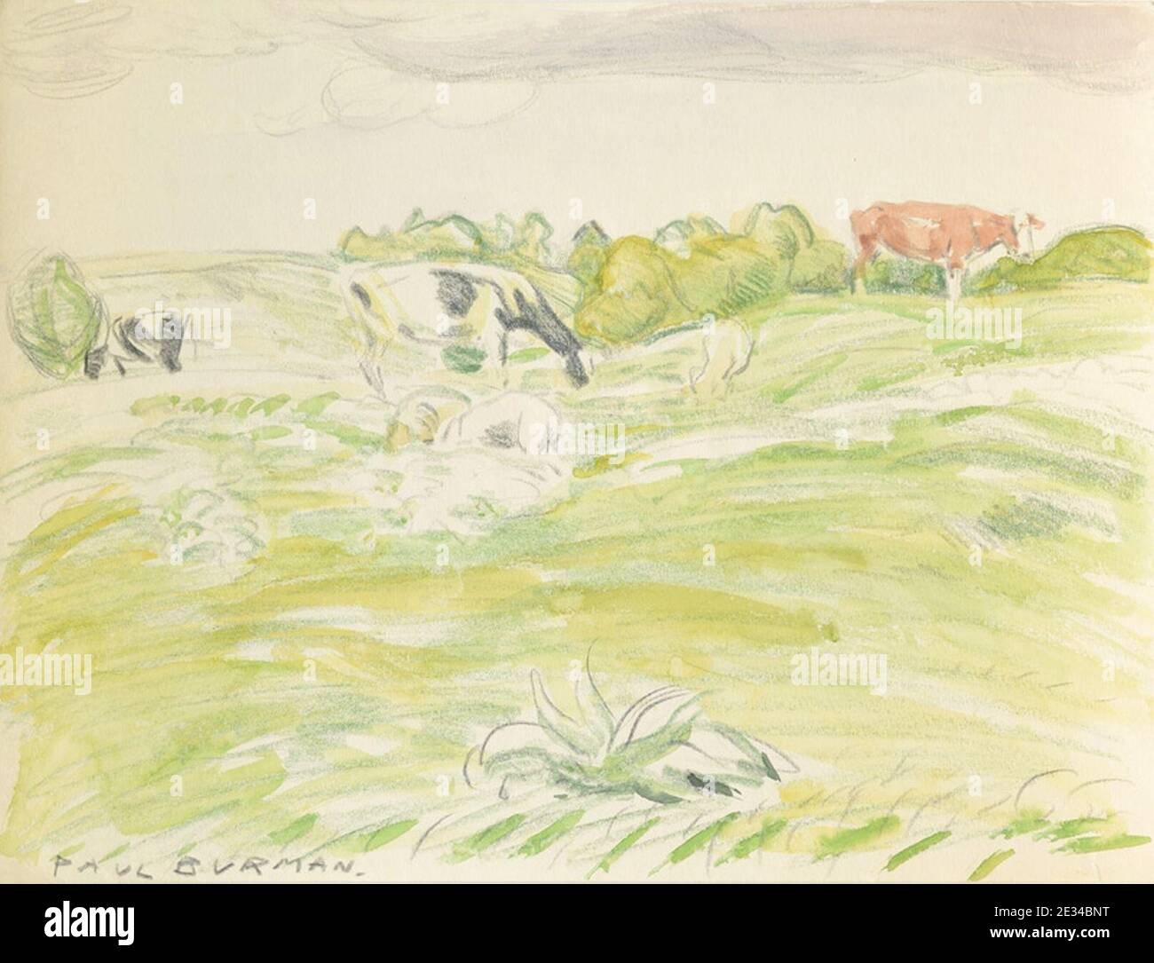 Visand hi-res stock photography and images - Alamy
