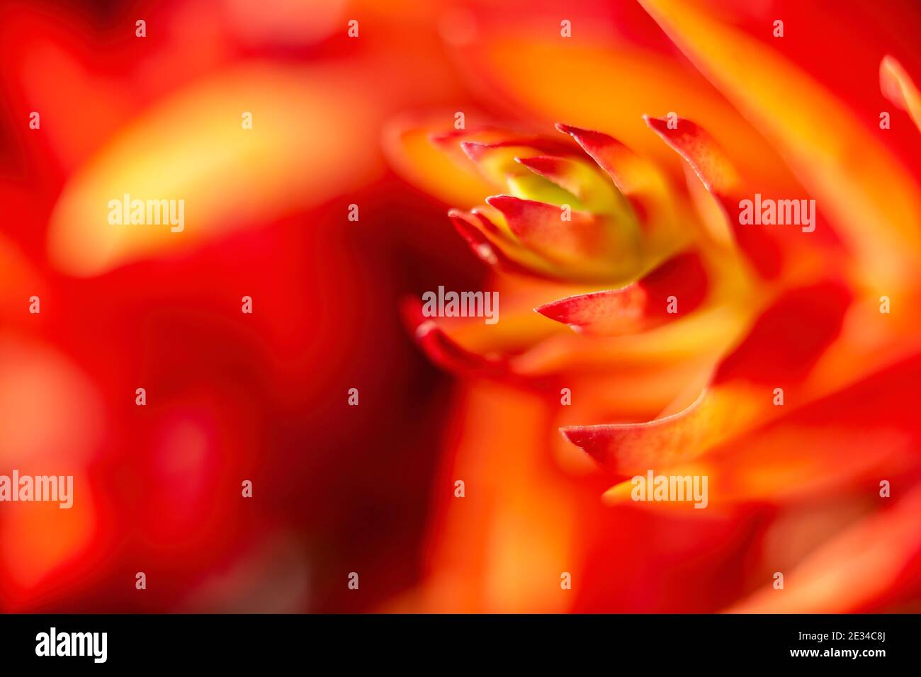 Inner contours hi-res stock photography and images - Alamy