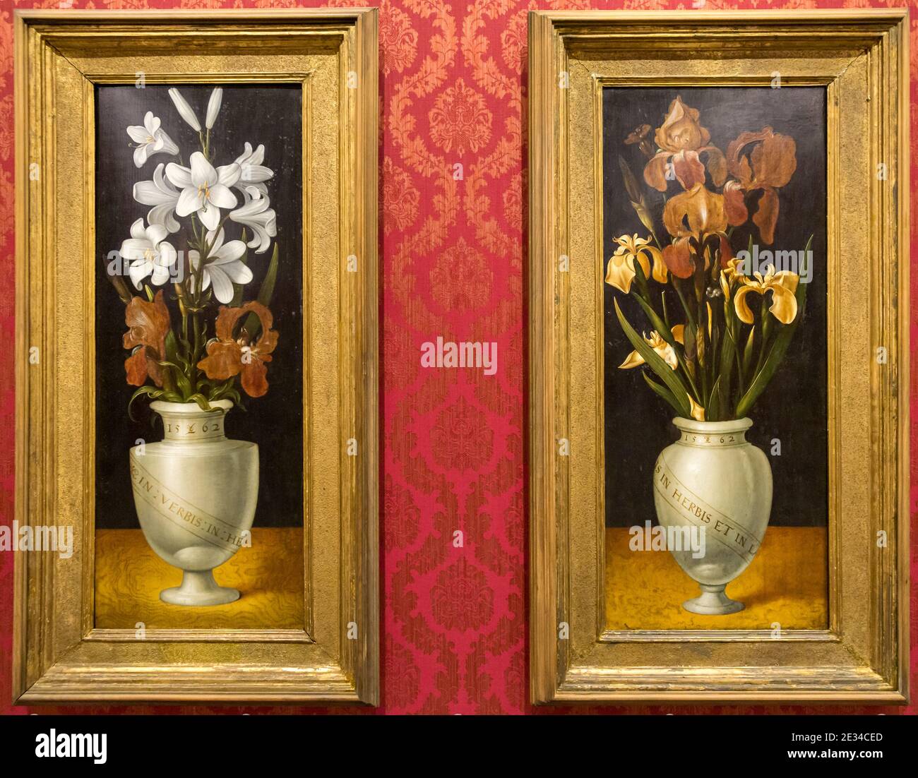Irisen hi-res stock photography and images - Alamy