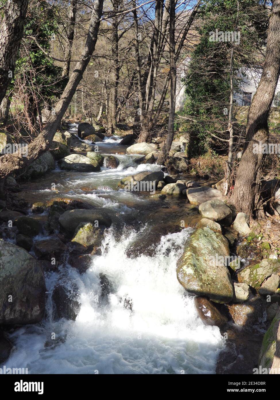 River falling down a small waterfall in the forest Stock Photo - Alamy