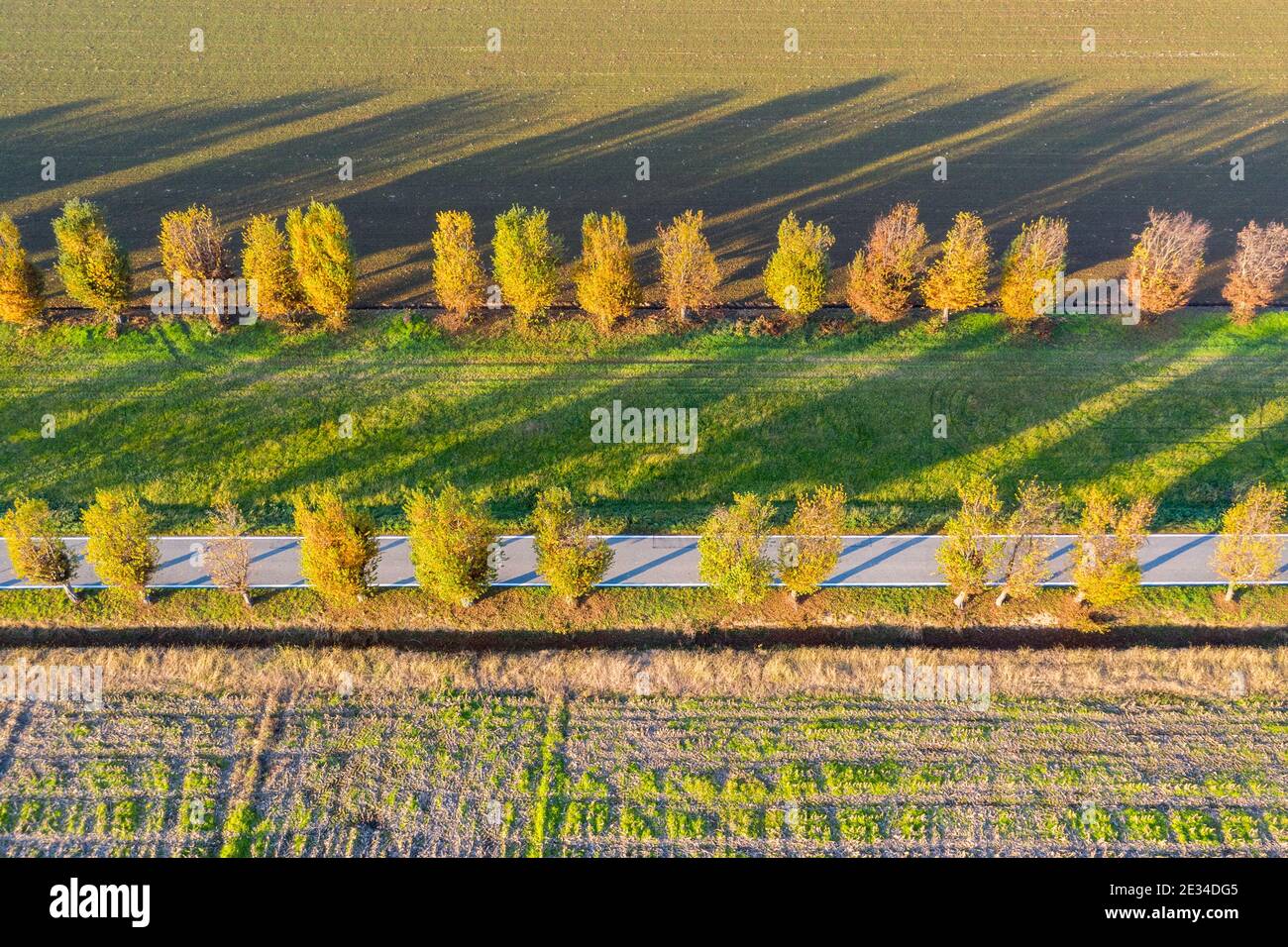 Aerial view of autumnal trees and cultivated fields. Abstract ...