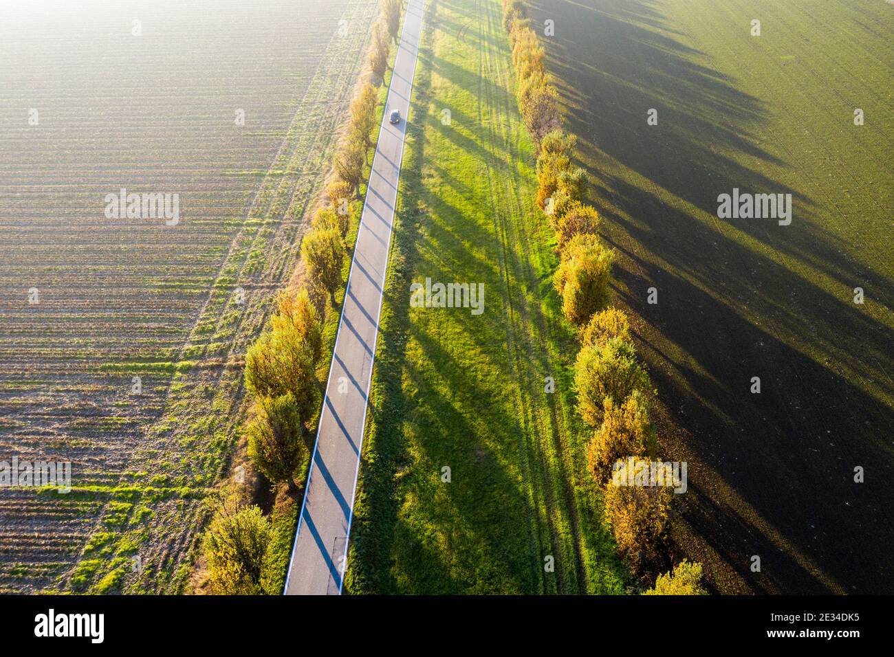Row of tress hi-res stock photography and images - Alamy
