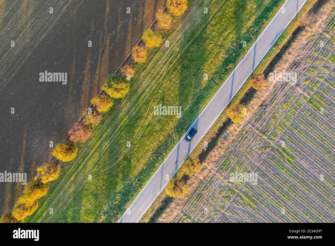 Aerial view of autumnal trees and cultivated fields. Abstract ...