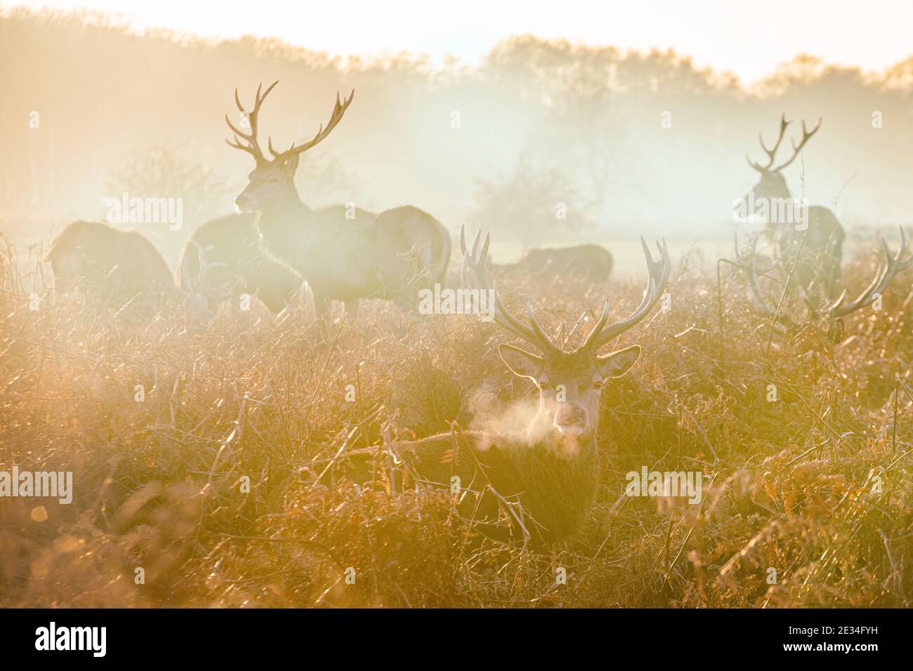 Dramatic shots hi-res stock photography and images - Alamy