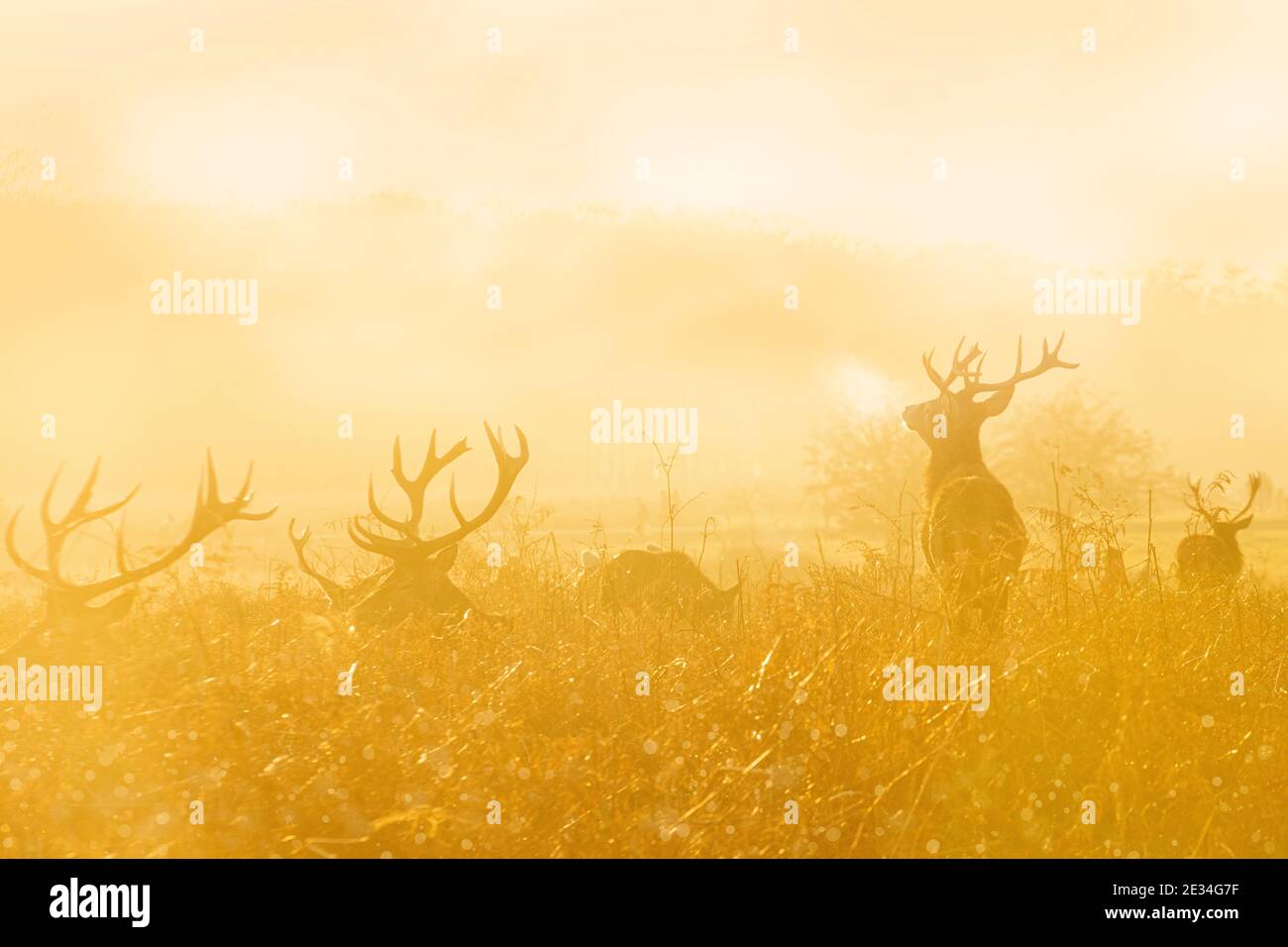 Dramatic shots hi-res stock photography and images - Alamy