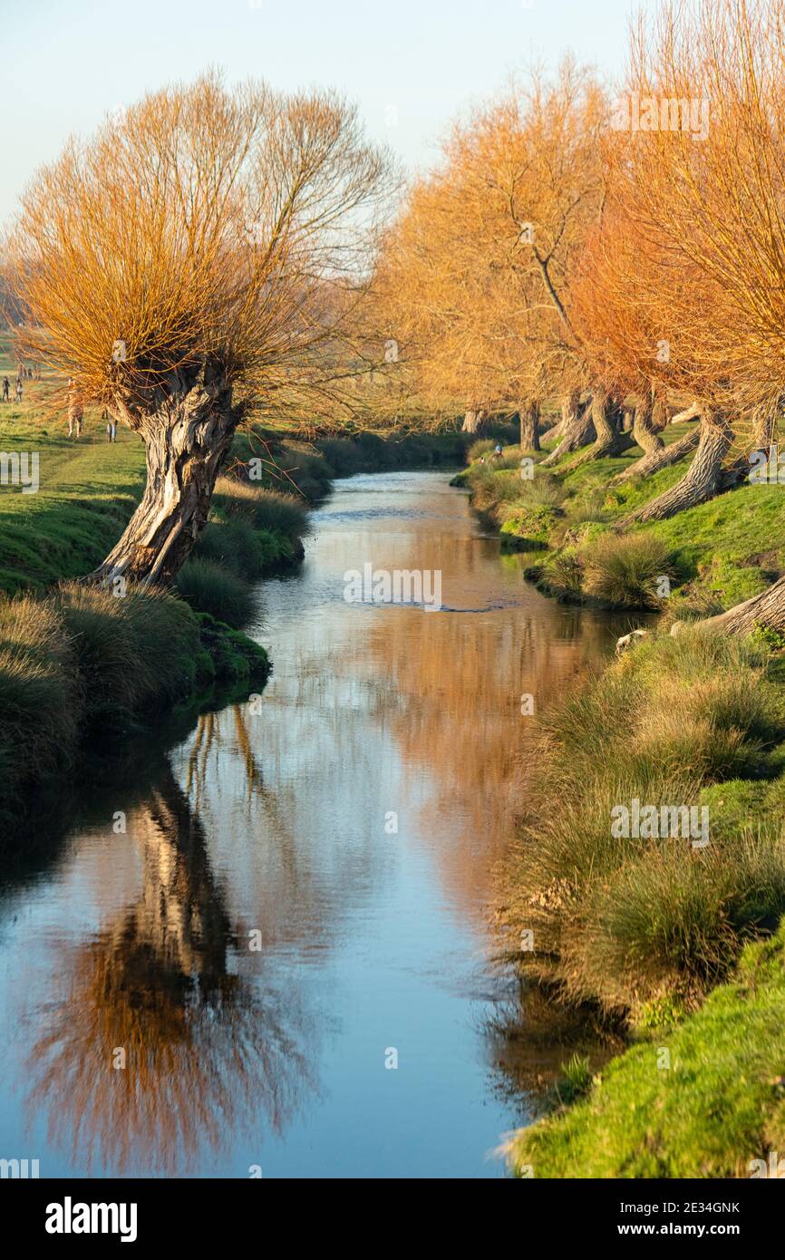 Beverley brook hi-res stock photography and images - Alamy