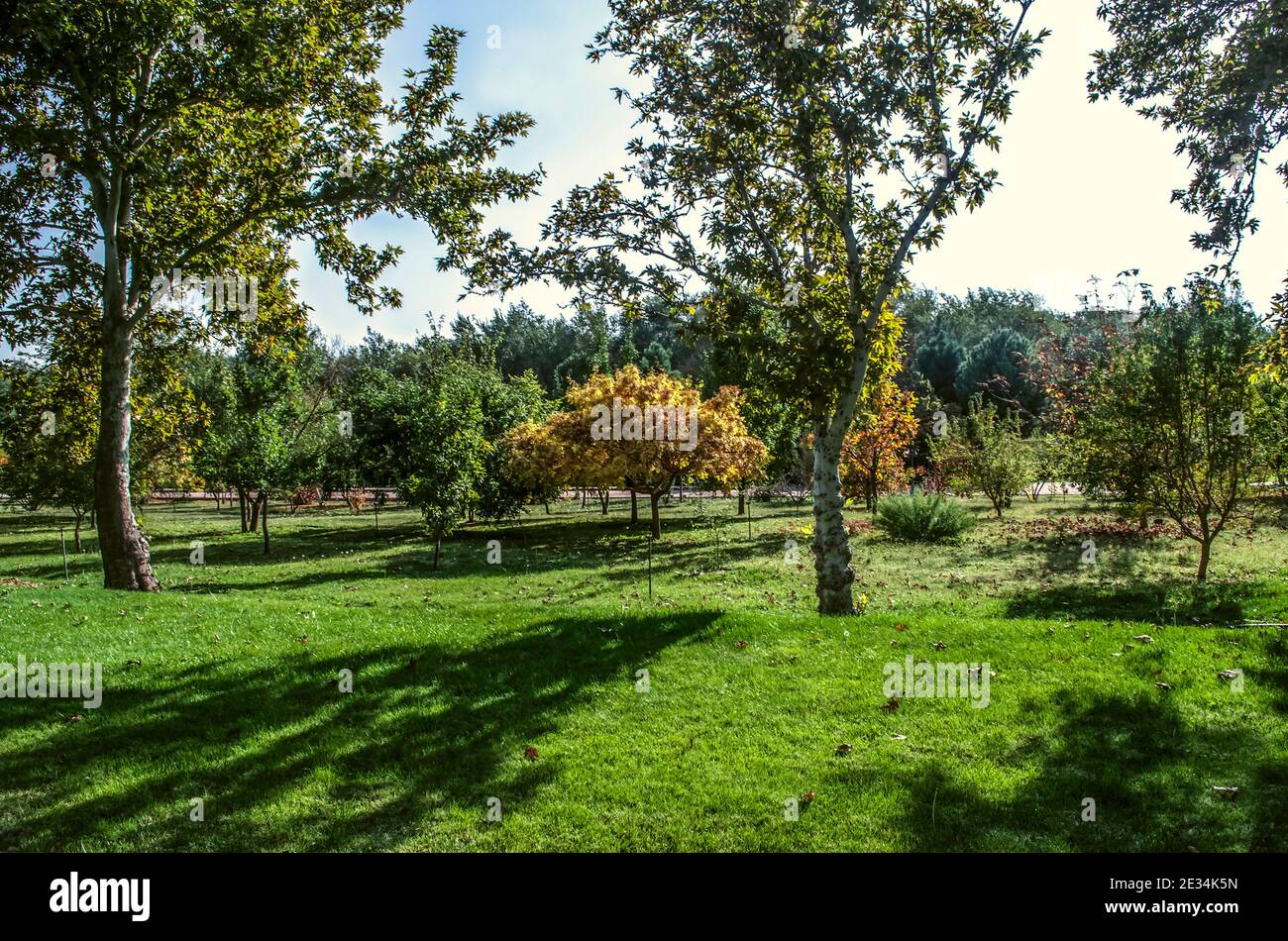 Suburb Of Tehran High Resolution Stock Photography and Images - Alamy