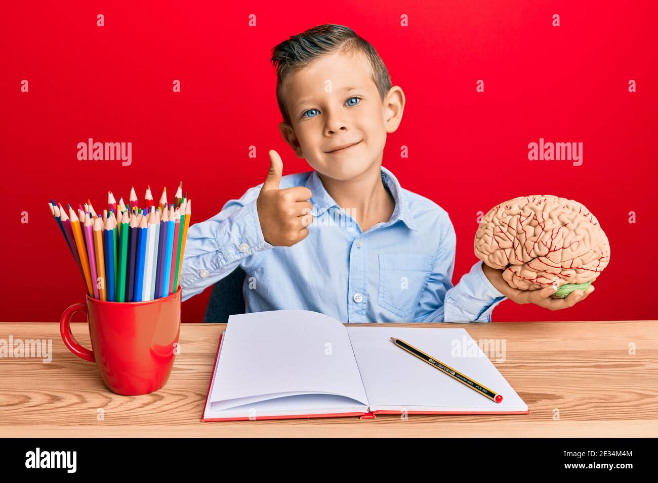 Adorable caucasian kid holding brain while studying for school smiling ...