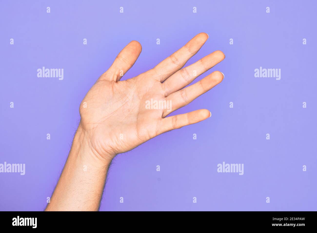 Hand of caucasian young man showing fingers over isolated purple ...