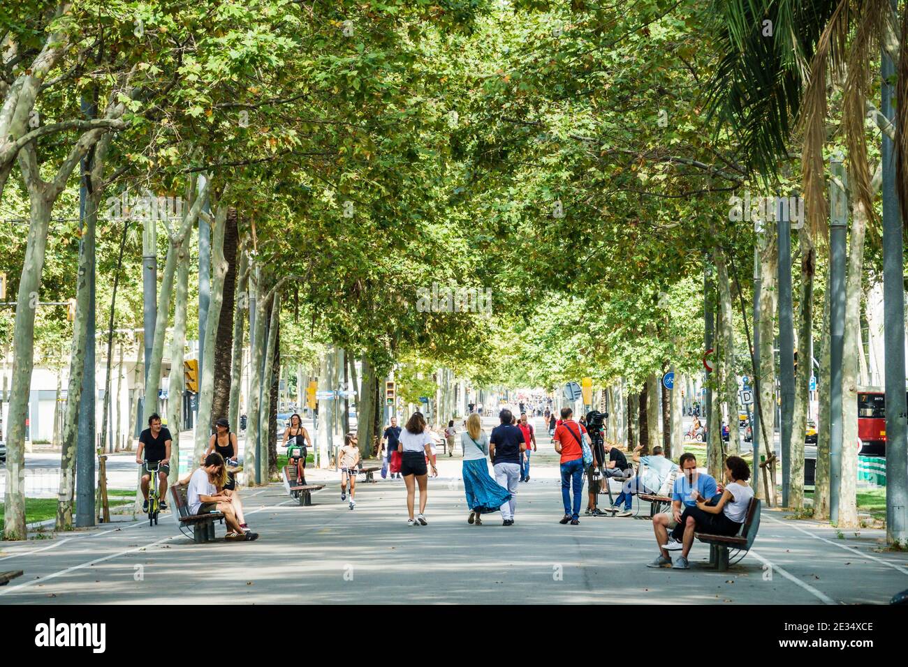 Avinguda avenida diagonal hi-res stock photography and images - Alamy