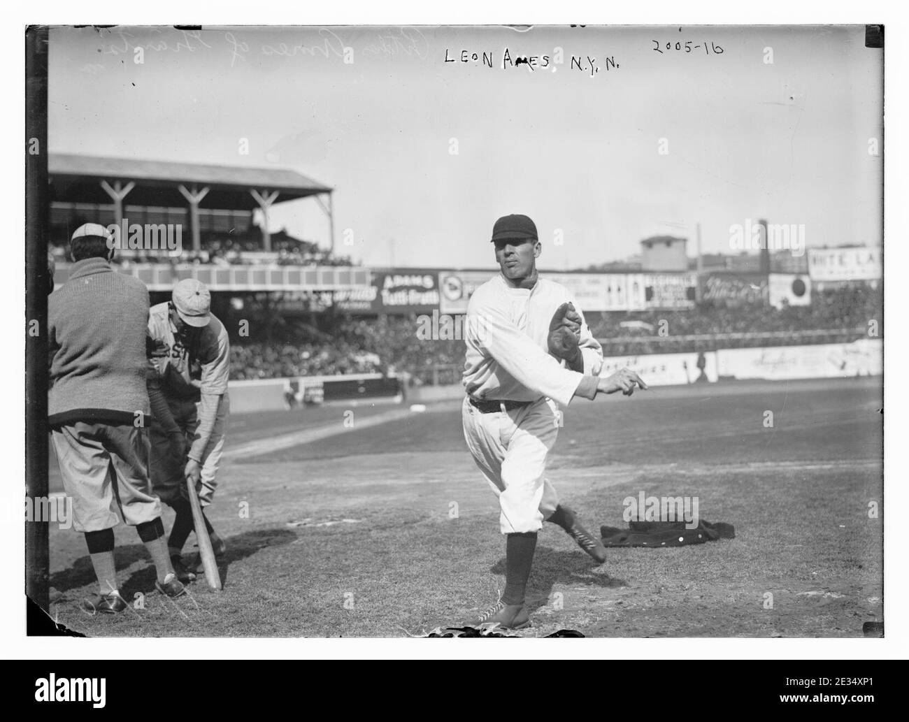 Red ames hi-res stock photography and images - Alamy