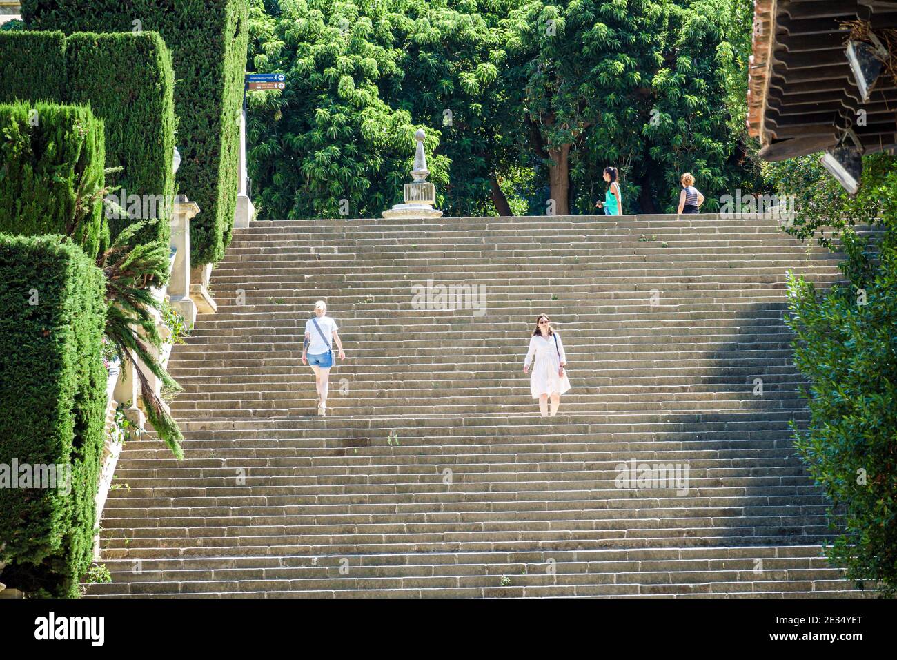 Monumental staircase stairs steps stairs staircase hi-res stock ...