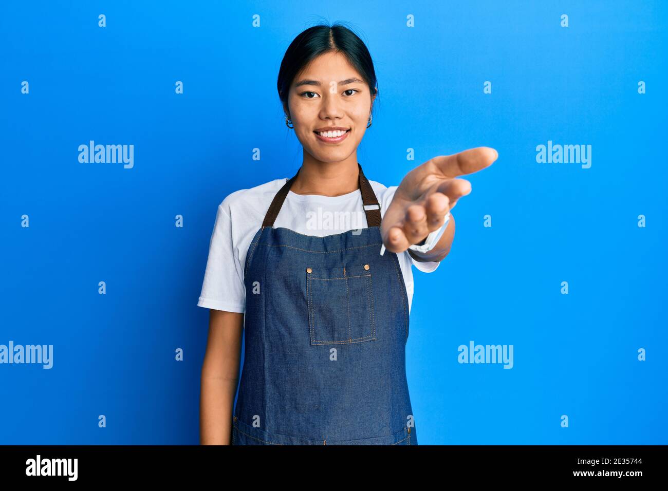 Cook kitchen shaking hands hi-res stock photography and images - Alamy