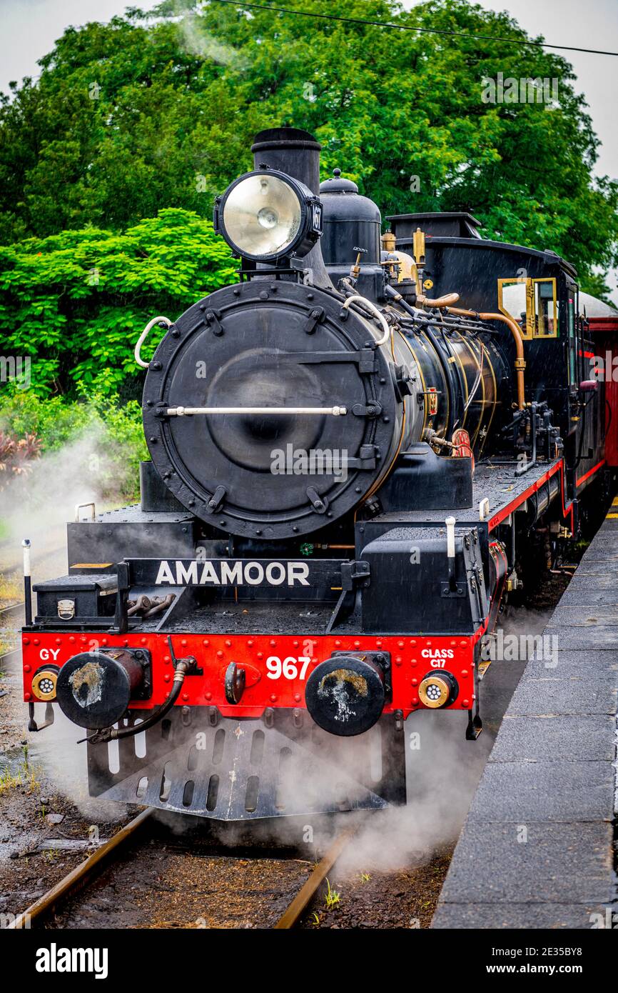 A steam train is pulled by a fully restored C17 class locomotive from ...