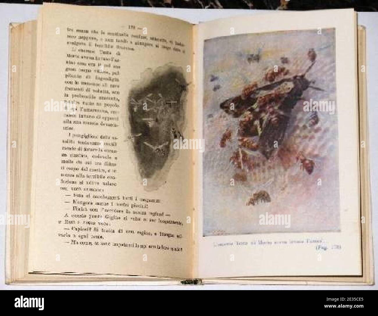 Luigi bertelli hi-res stock photography and images - Alamy