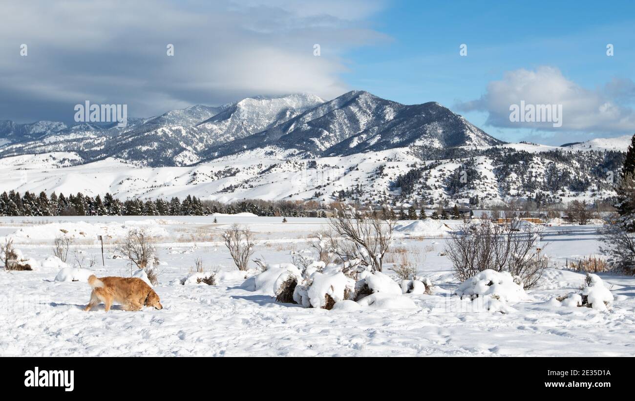 Bridger Mountains Bozeman Stock Photo - Alamy