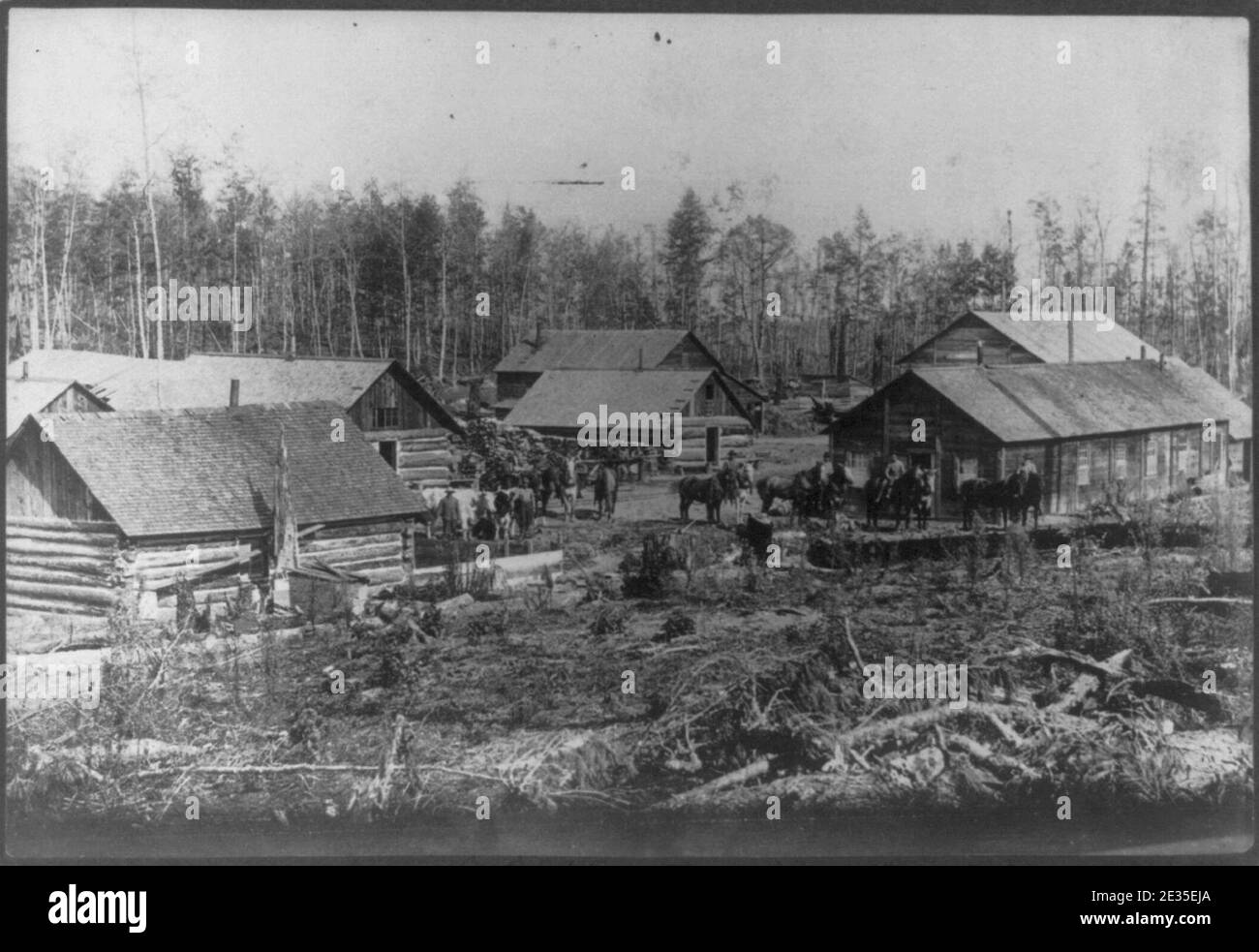 Lumbering history Black and White Stock Photos & Images - Alamy