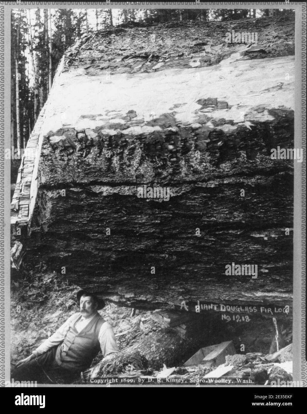 Lumbering in cascade mountains hi-res stock photography and images - Alamy