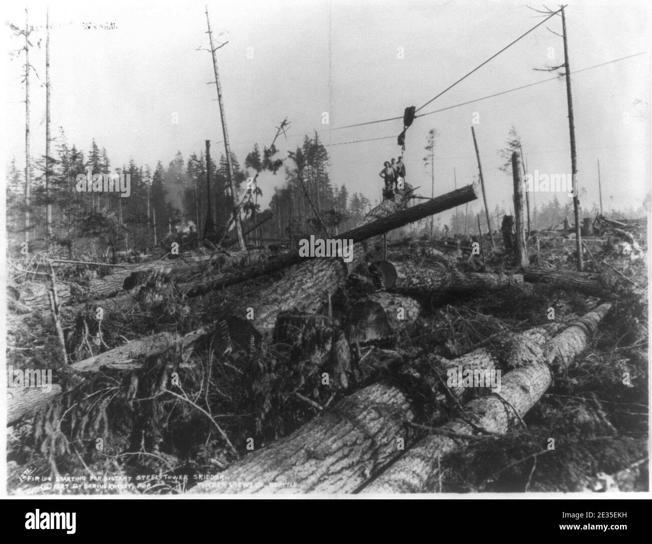 High lead logging hi-res stock photography and images - Alamy