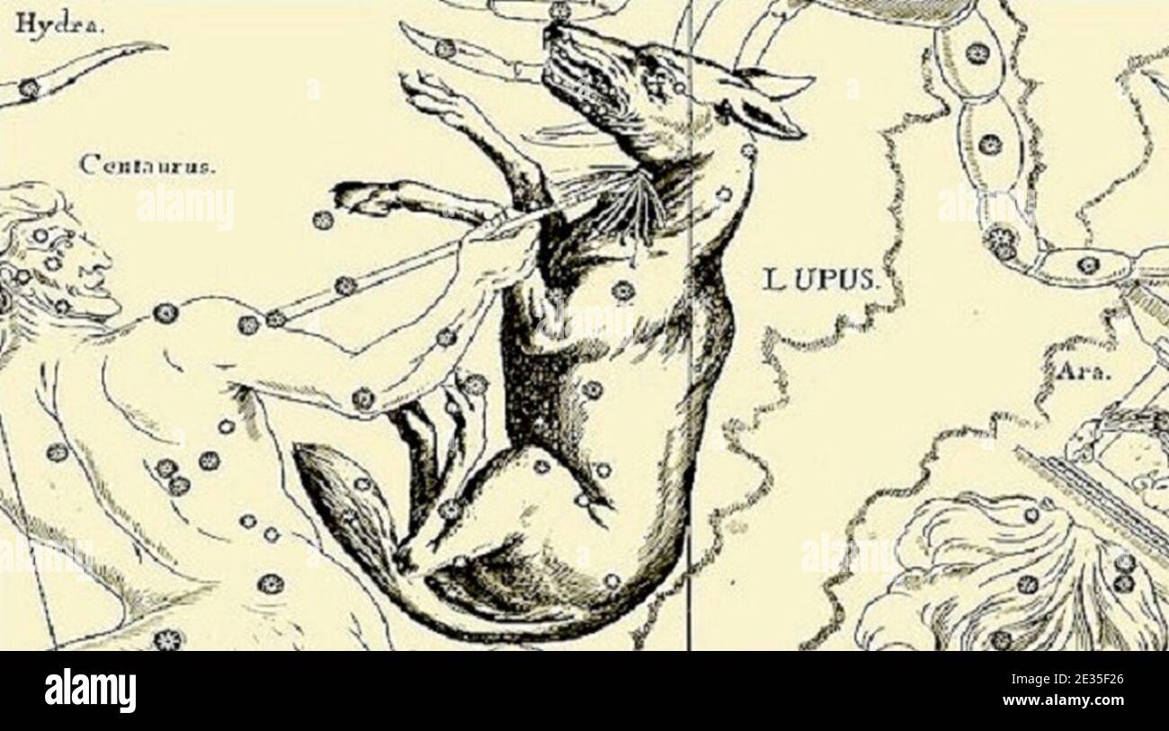 Lupus by Havelius Stock Photo - Alamy