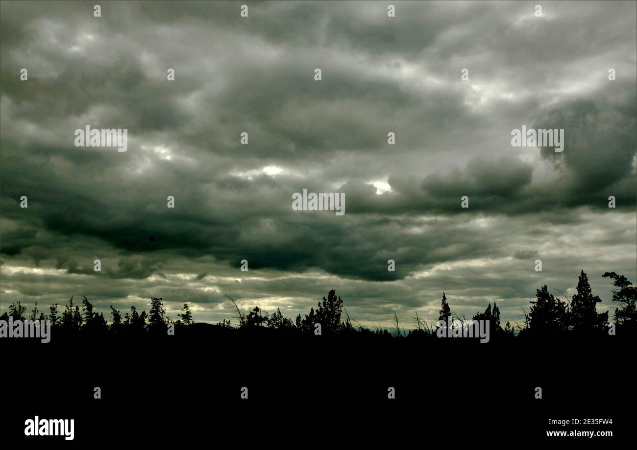 Thunderstorm sky landscape trees hi-res stock photography and images ...