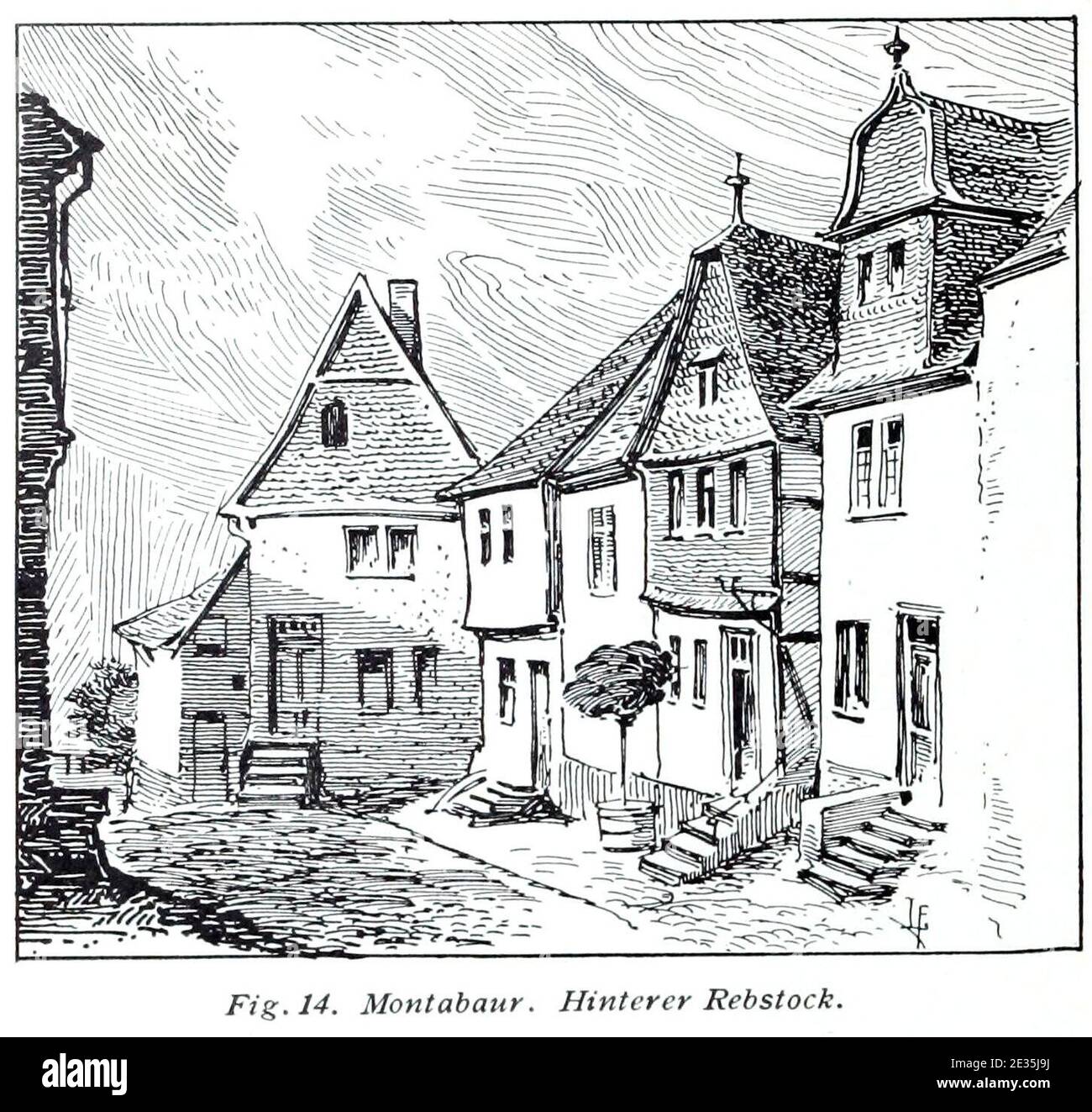 Hinterer rebstock hi-res stock photography and images - Alamy