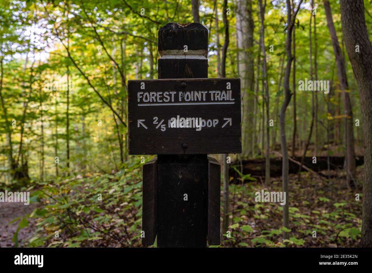 Forest Point Trail Sign Stock Photo - Alamy