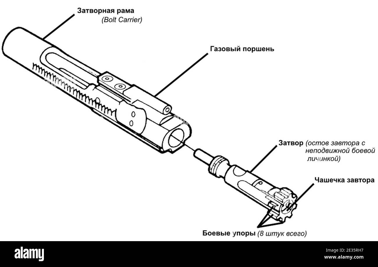 Tree parts Black and White Stock Photos & Images - Alamy