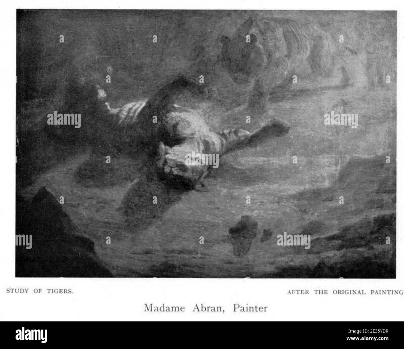 Madame Abran - A Study of Tigers Stock Photo - Alamy