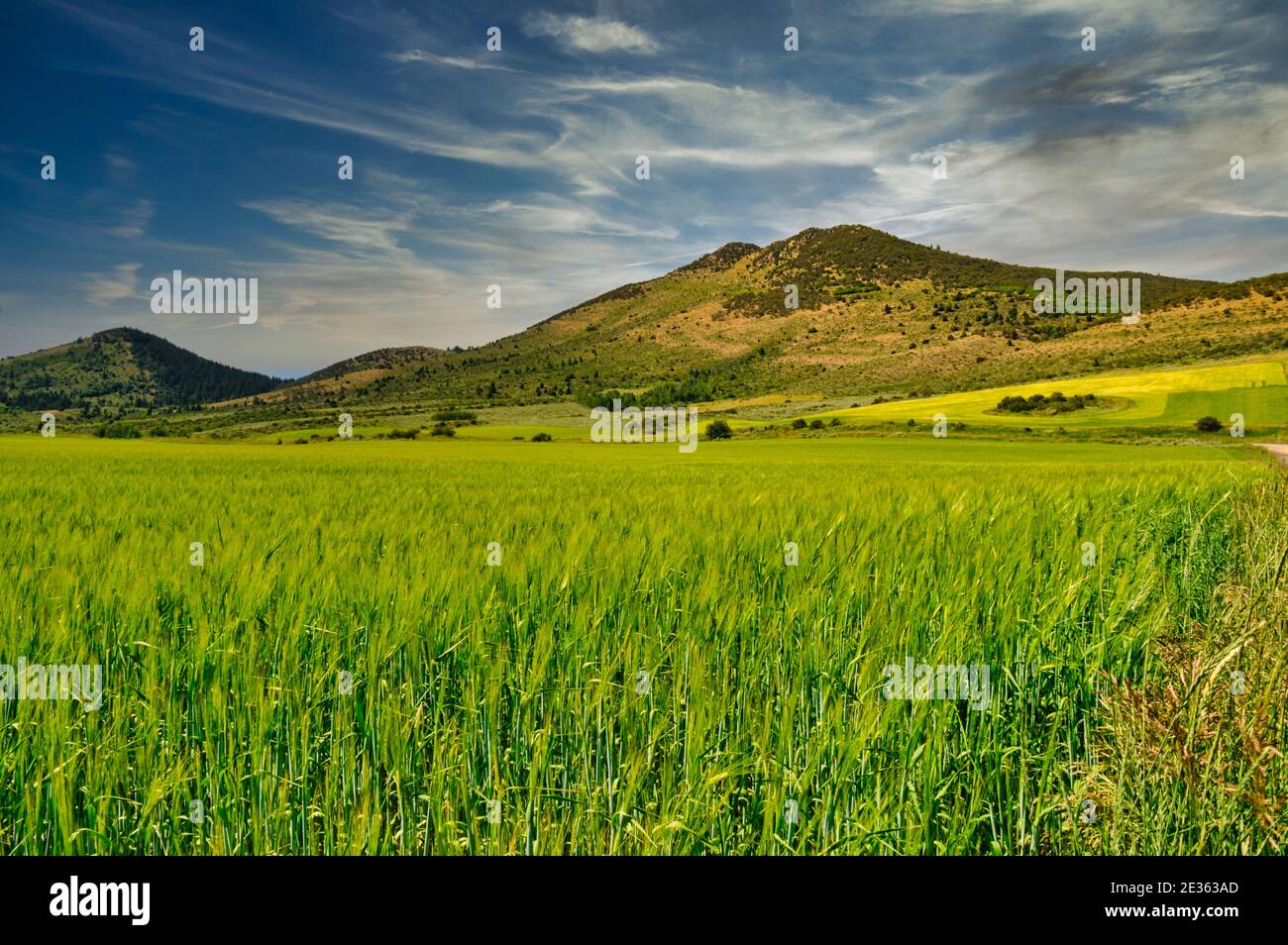 Landfields hi-res stock photography and images - Alamy