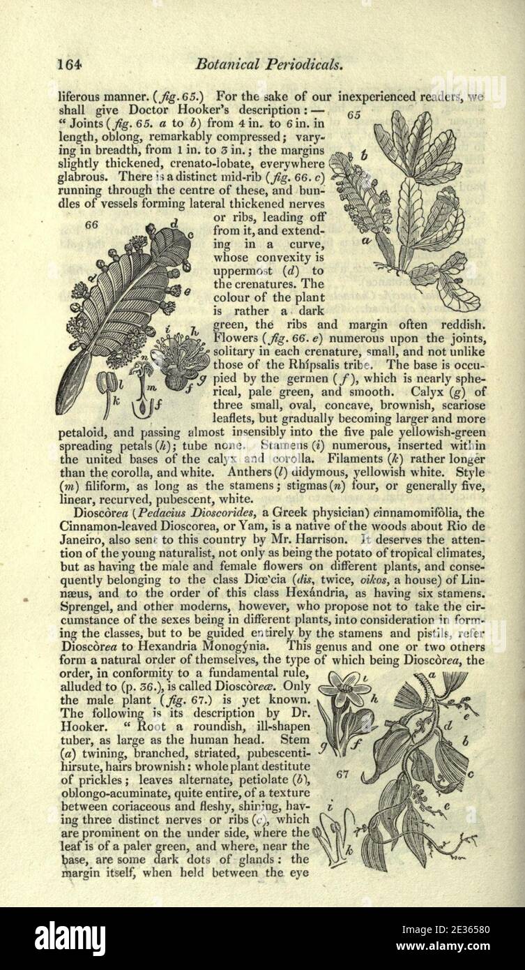 Magazine of natural history and journal of zoology, botany, mineralogy ...