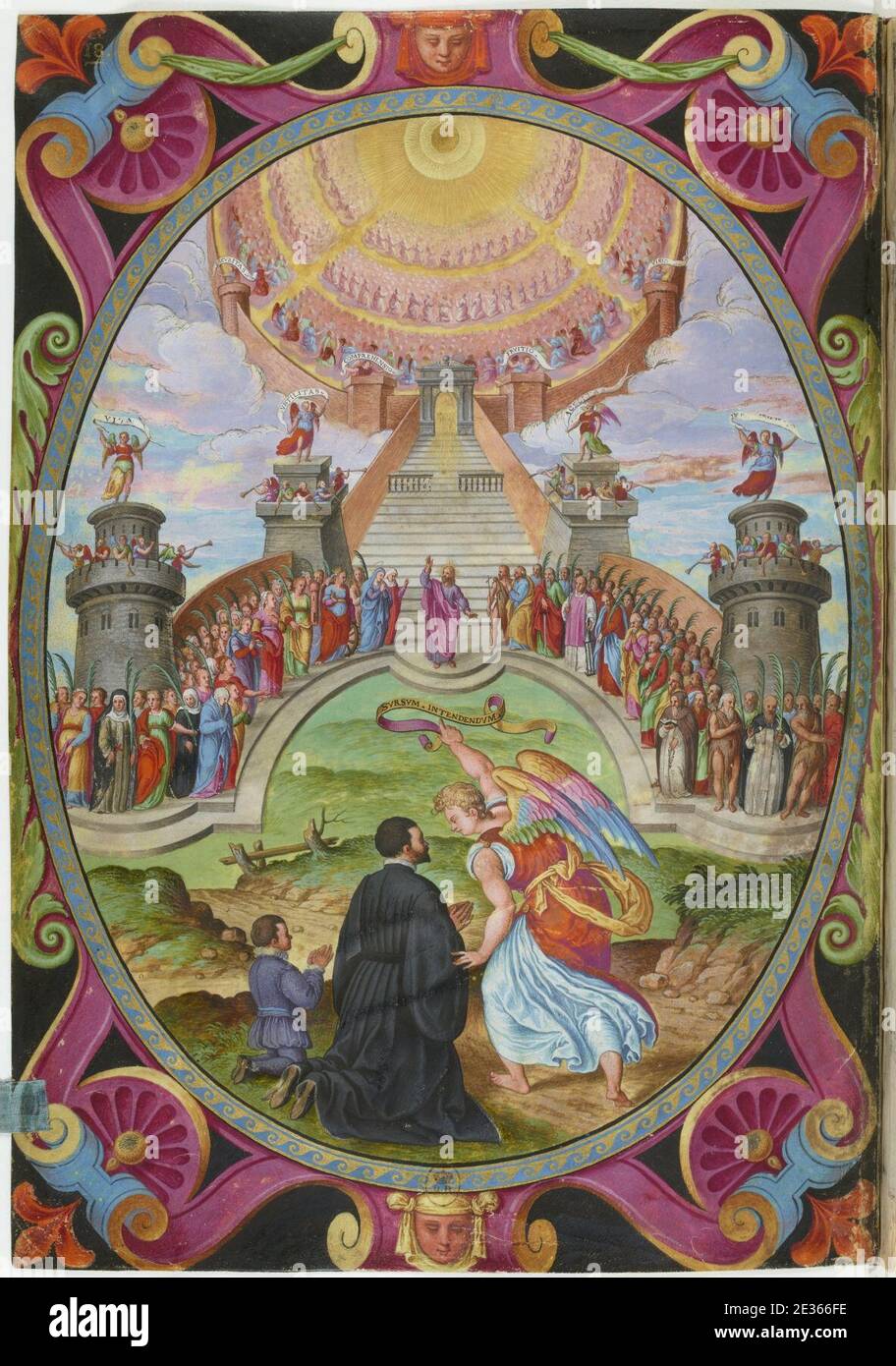 Magius hi-res stock photography and images - Alamy