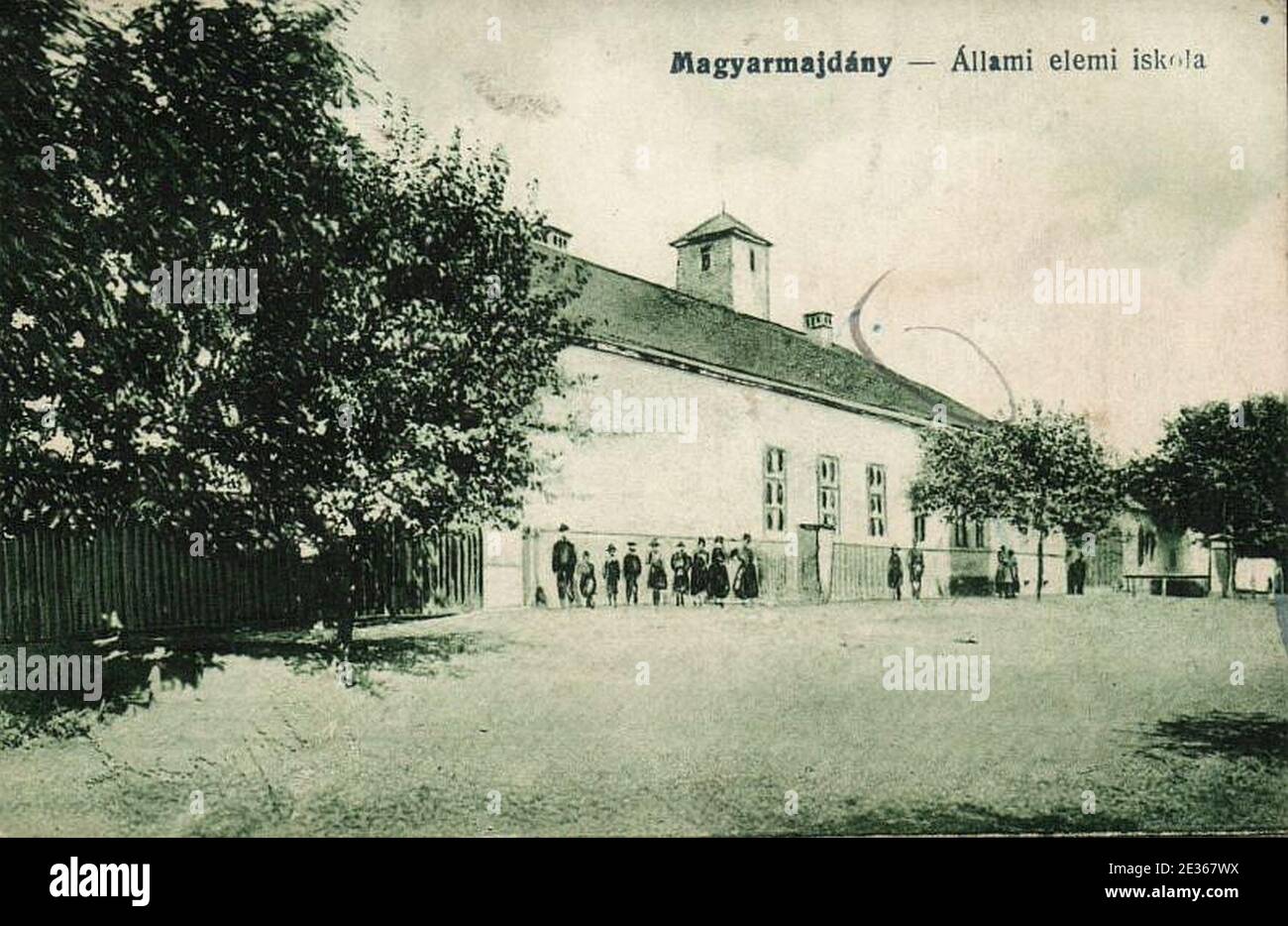 Elemi tree hi-res stock photography and images - Alamy