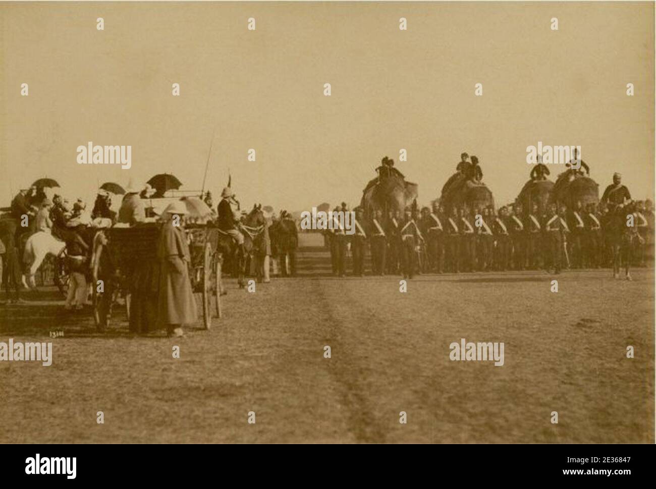 Elephant battery hi-res stock photography and images - Alamy