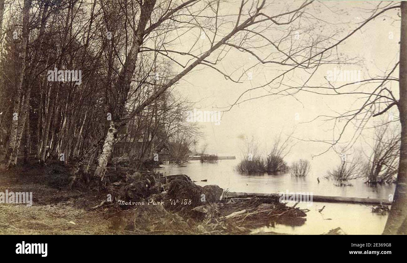 Seattle madrona park hi-res stock photography and images - Alamy